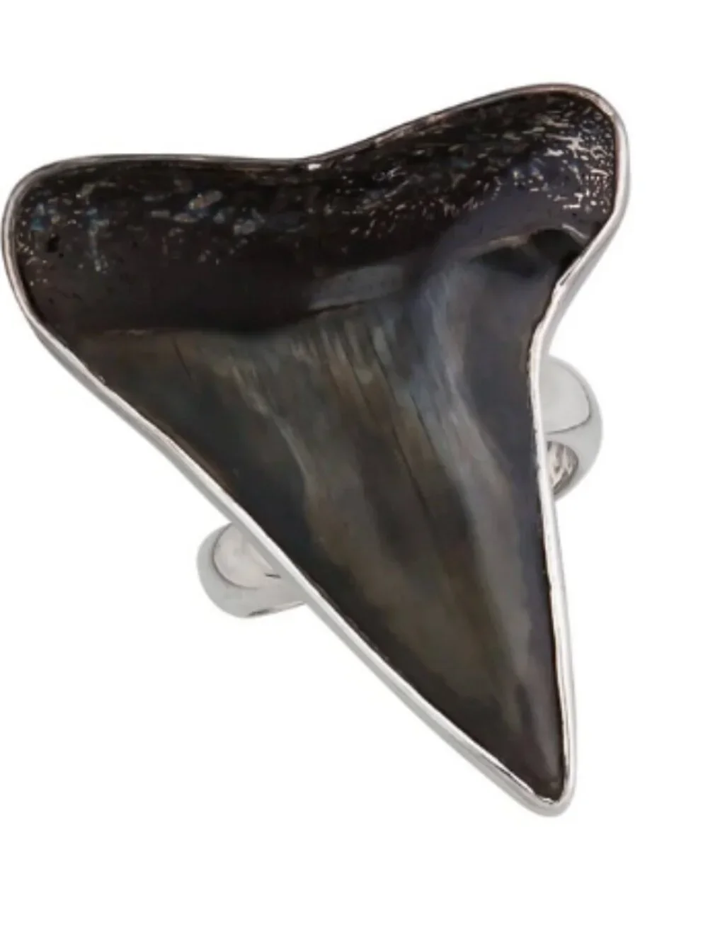 Charles Albert | Jewelry | Charles Albert Shark Tooth Fossil Sterling ...